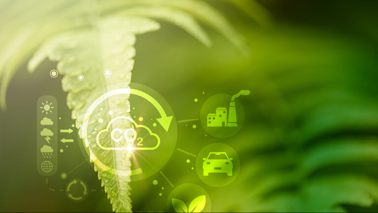 Sentra World – ESG & Carbon Reporting Software for Compliance