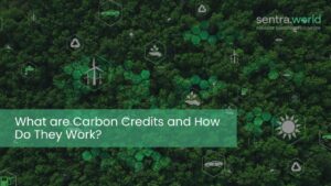 sentra.world – Measure | Mitigate | Monetise Carbon Emissions