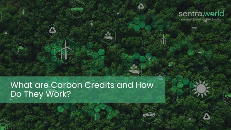 sentra.world – Measure | Mitigate | Monetise Carbon Emissions